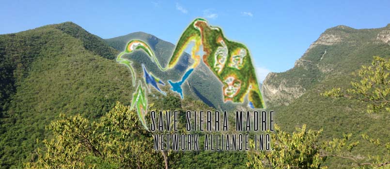 300 hektarya ng kagubatan, mawawasak sa Kaliwa dam project - VeritasPH