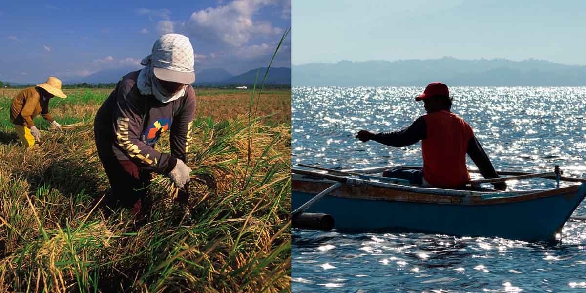 CBCP, magtatatag ng kooperatiba para sa magsasaka at mangingisda - VeritasPH