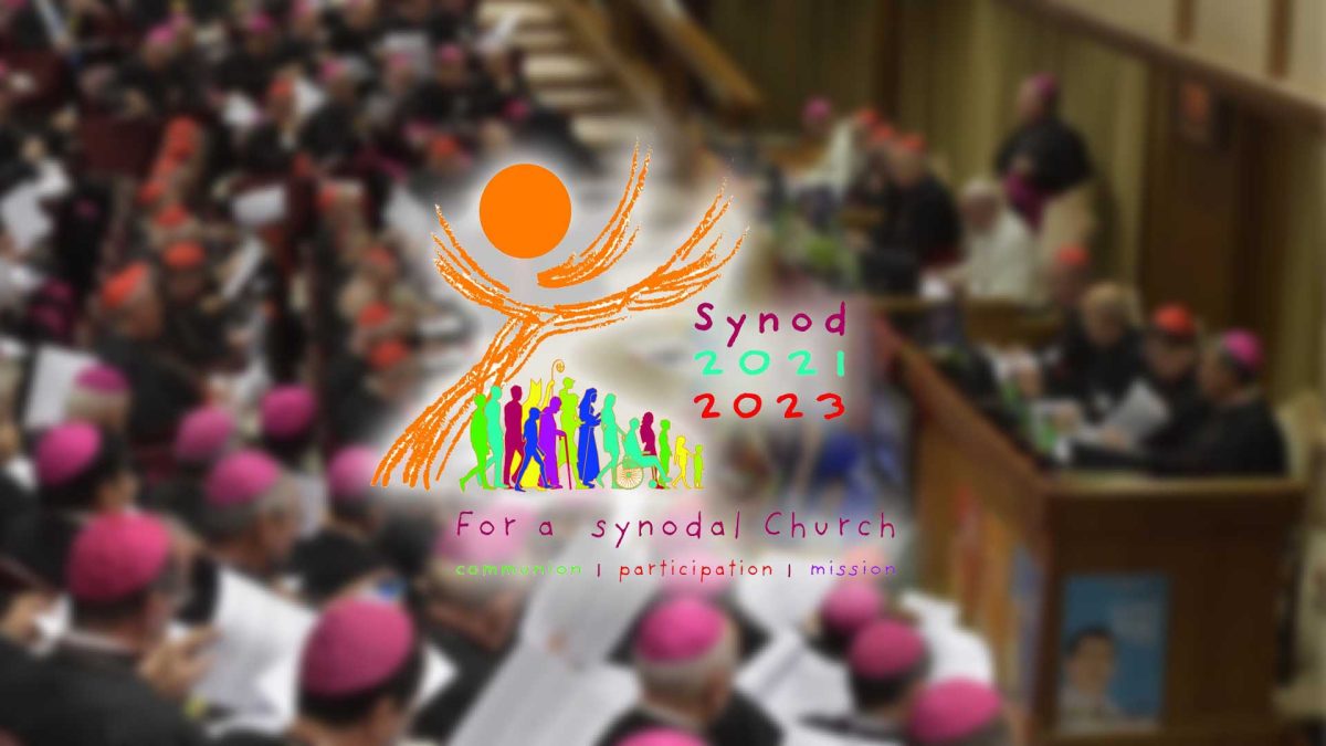 Synod on Synodality: ‘The whole church is called to the mission’-Bishop ...