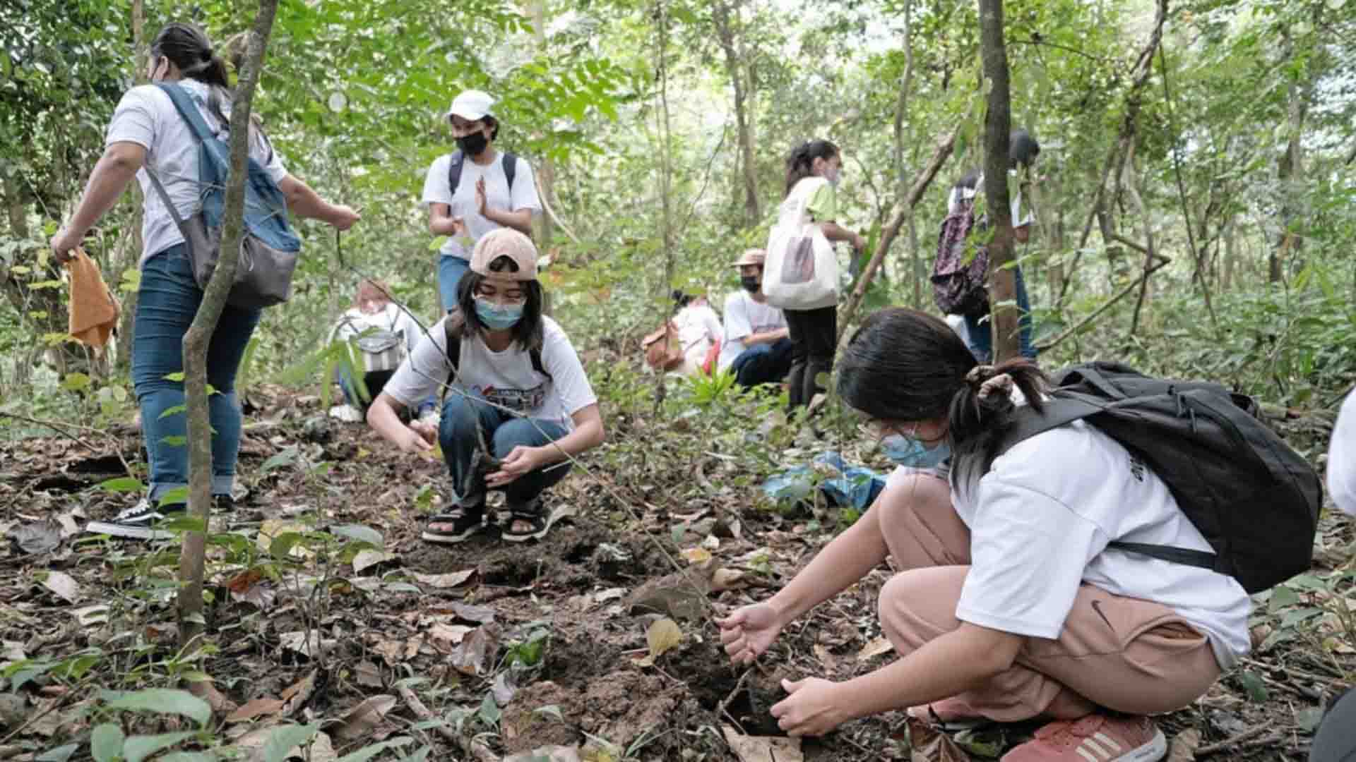 Visayas Prelates, lumagda sa Caritas Bamboo Forest project. – VeritasPH